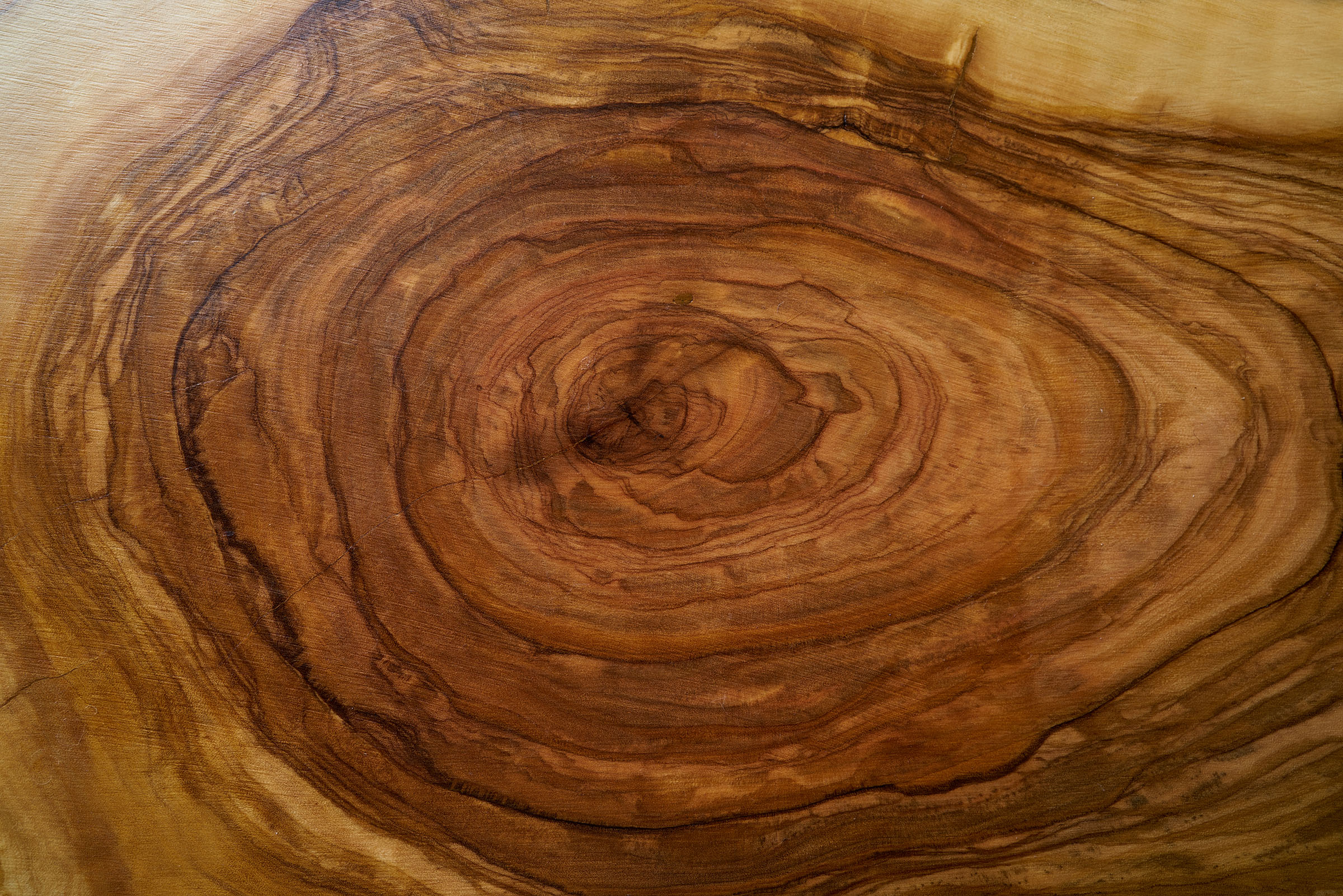 Home - Exotic Live Edge Slabs